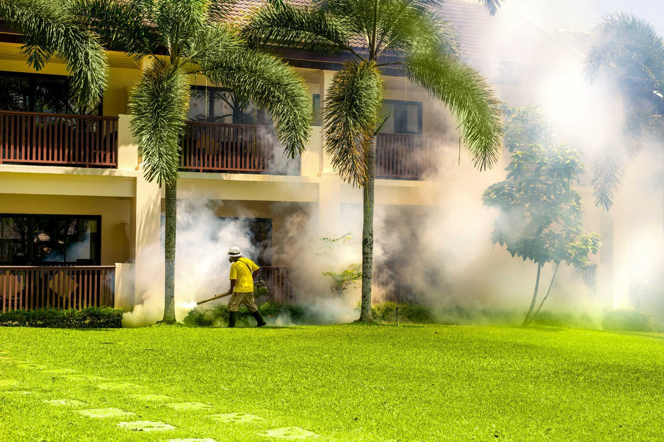 Is Pest Control harmful to plants? | Bug Off Pest