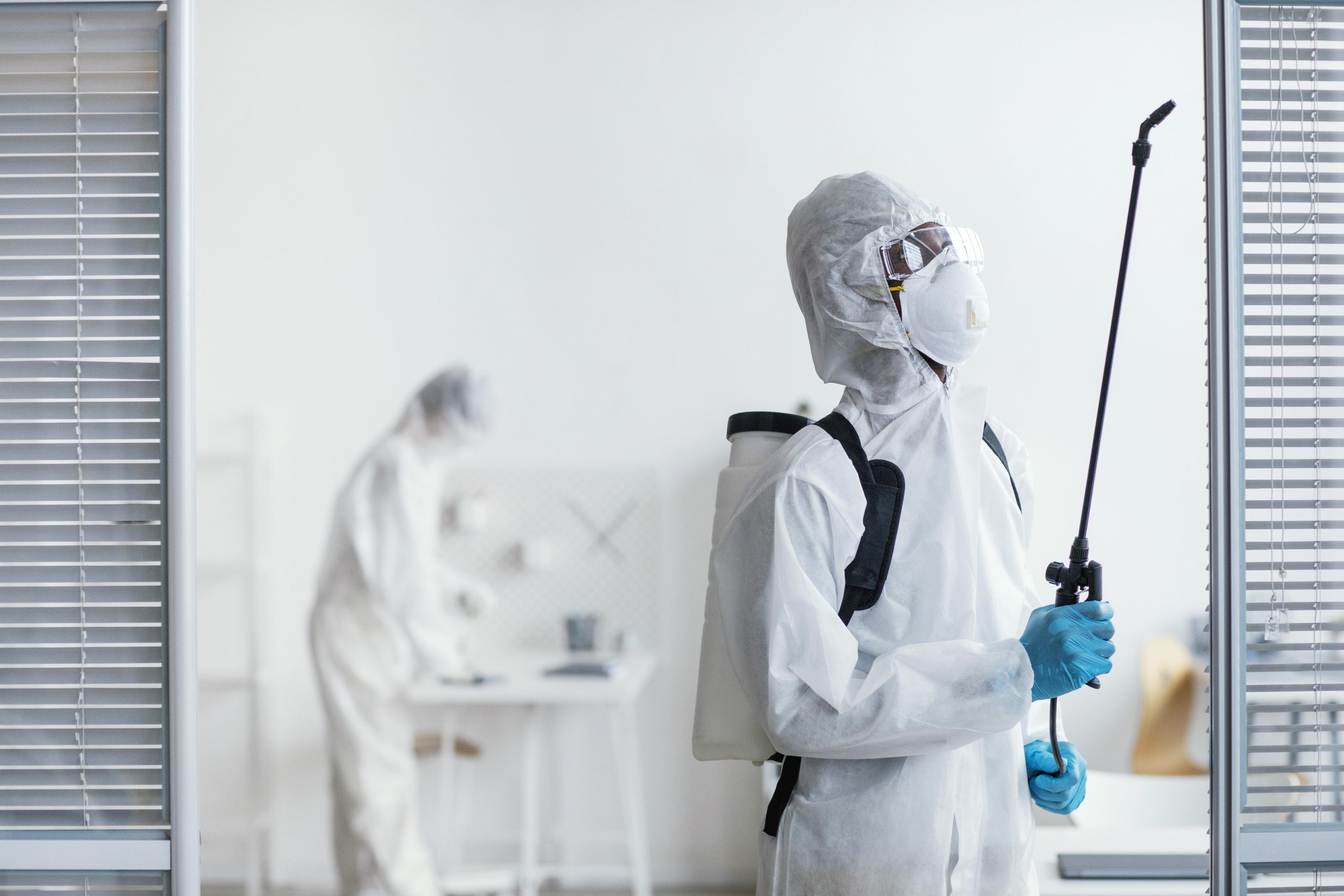 Ways that Pest Control Can Improve Your Quality of Life - Bug Off Pest